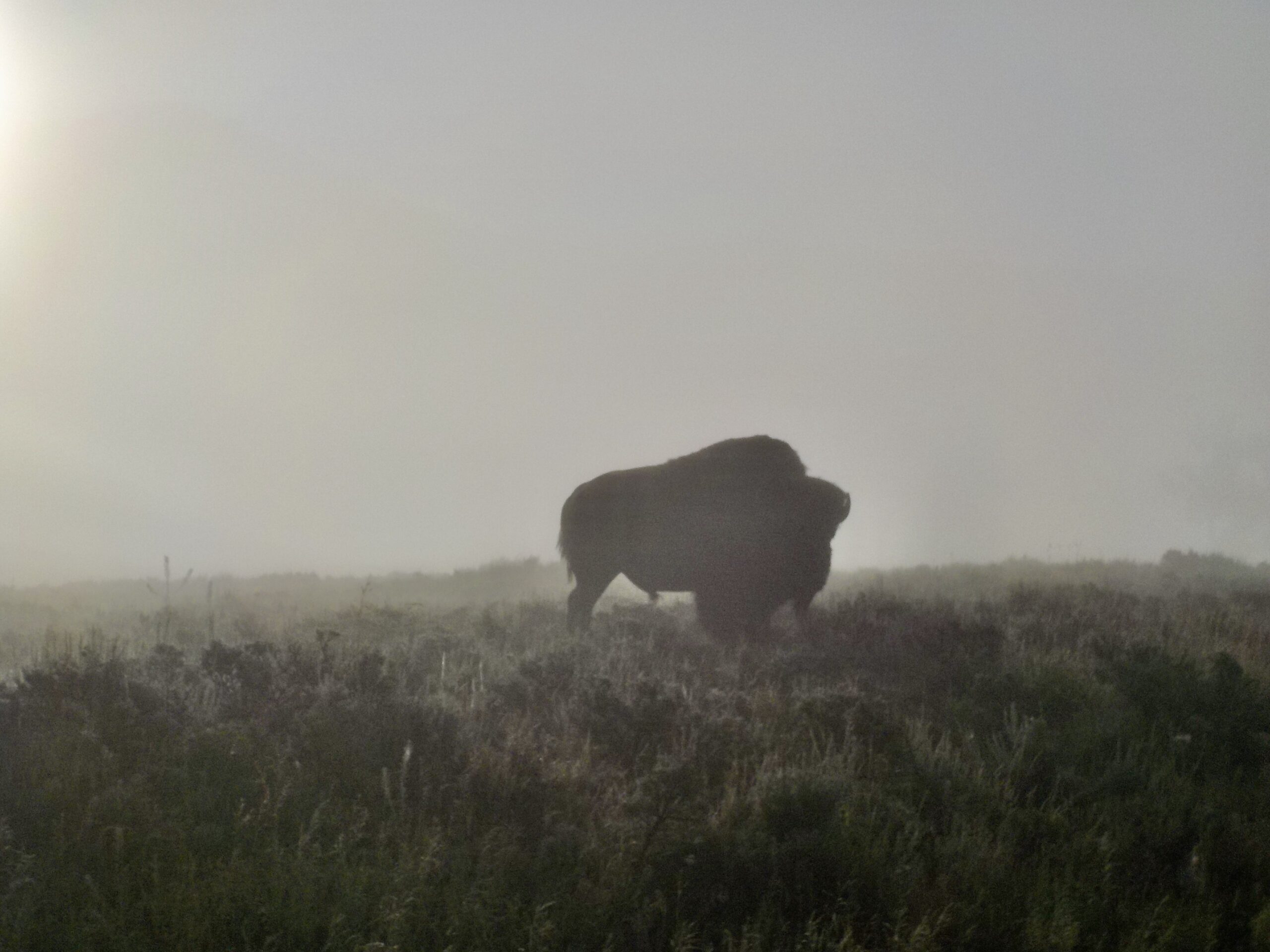 Ellen Cochran – Journalism and mixed media portfolio