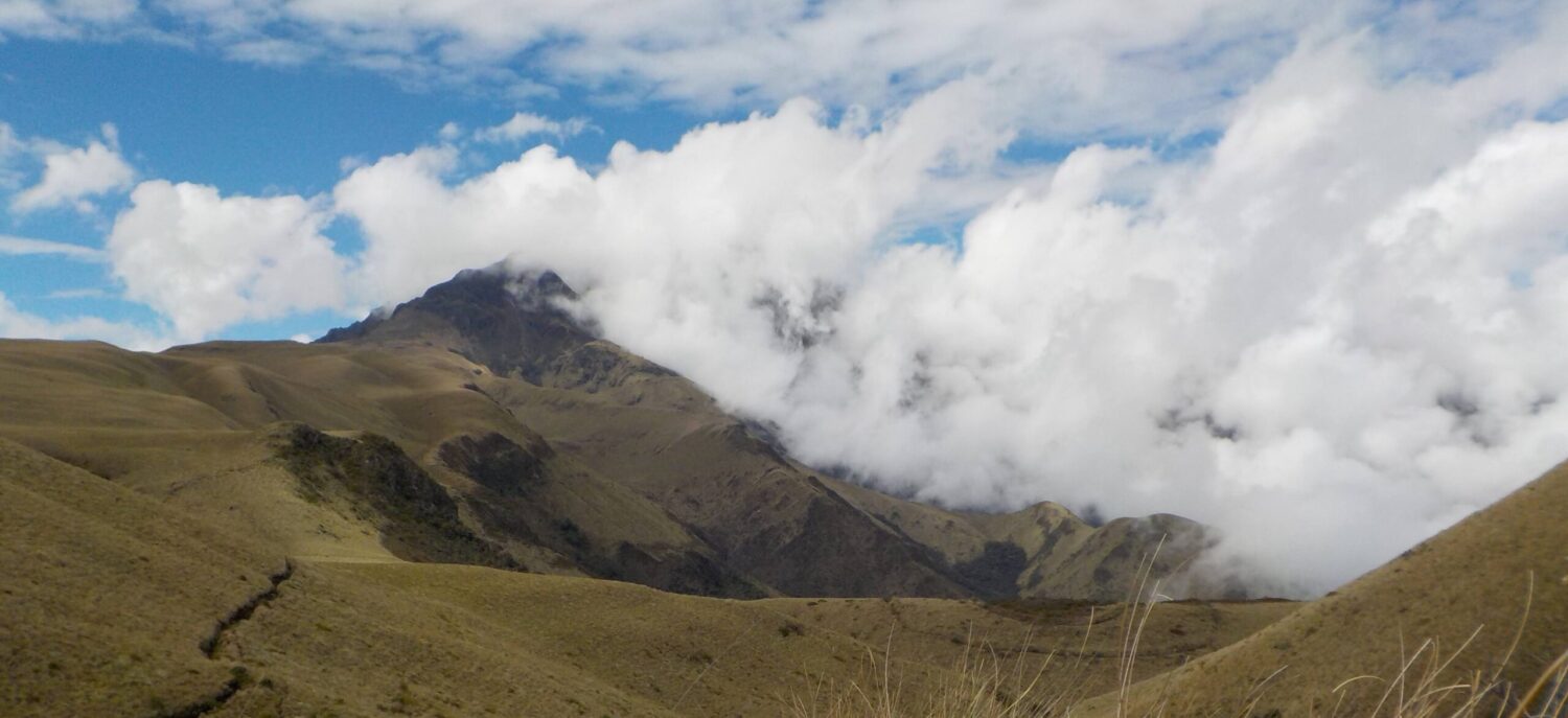 Ellen Cochran – Journalism and mixed media portfolio